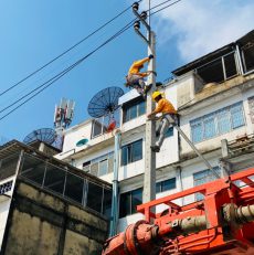 Albums – TADS.co.th