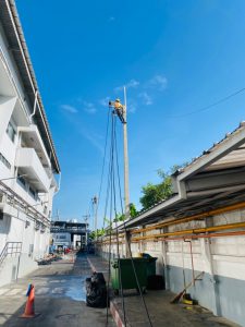 GFPT : Supply&Installed 22kV Riser Pole – TADS